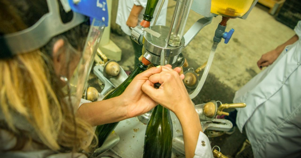 Las Pasantías Aplicadas Agronómicas requieren inscripción en el SIU ...