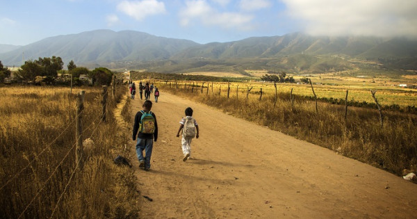 Día Mundial del Campo: sobre las bondades del medio rural - Facultad de ...