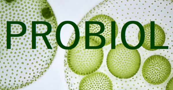 El PROBIOL acreditó como Posgrado A ante CONEAU, por un periodo de 6 ...