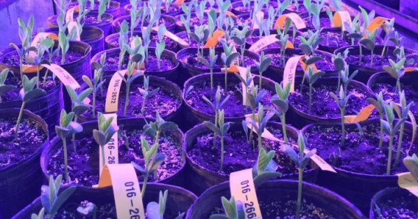 Zavia Bio, la innovadora start-up de biotecnología que se radica en la ...